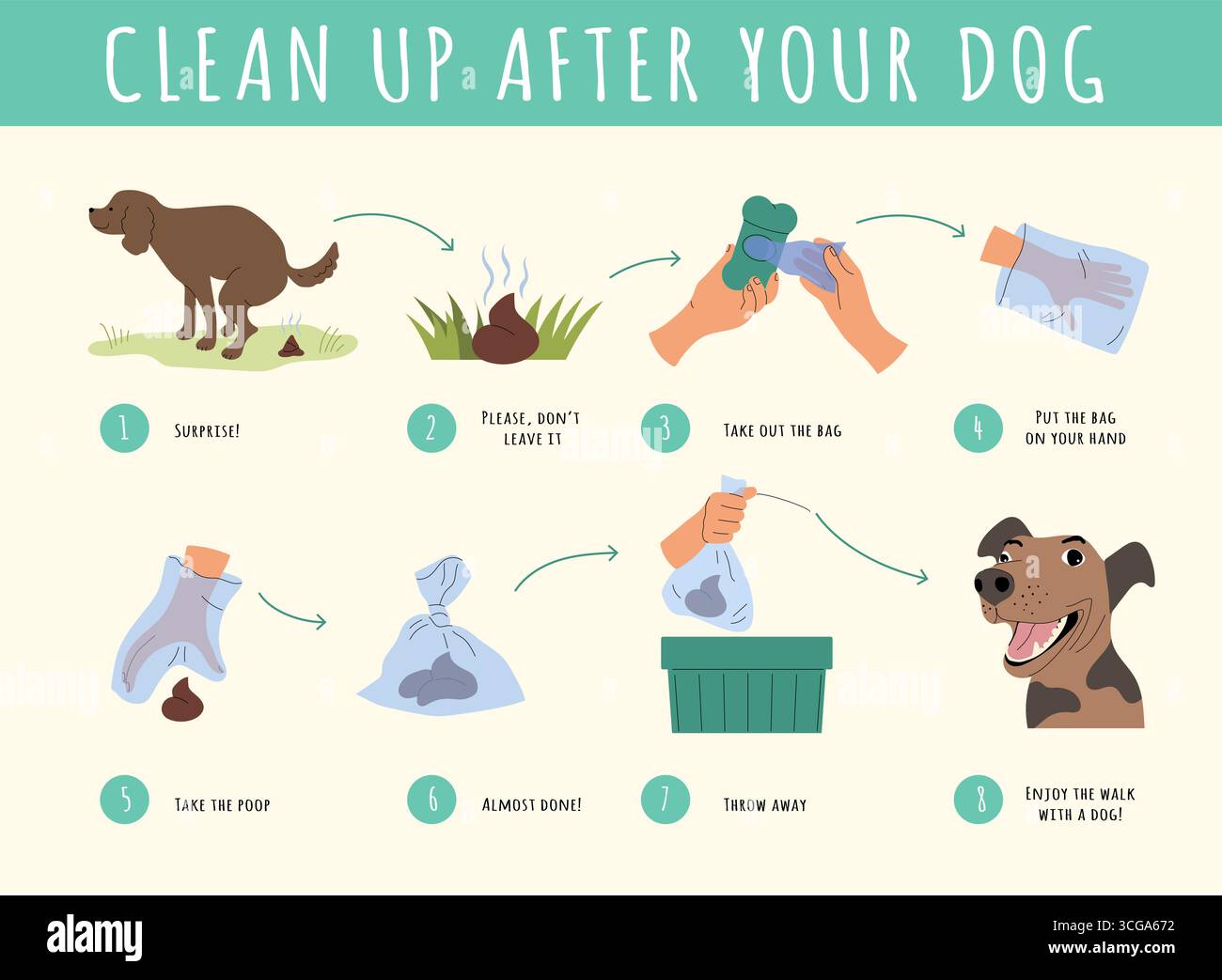 Clean up dog infographic. Pick up animal poo in park outdoor recent ...