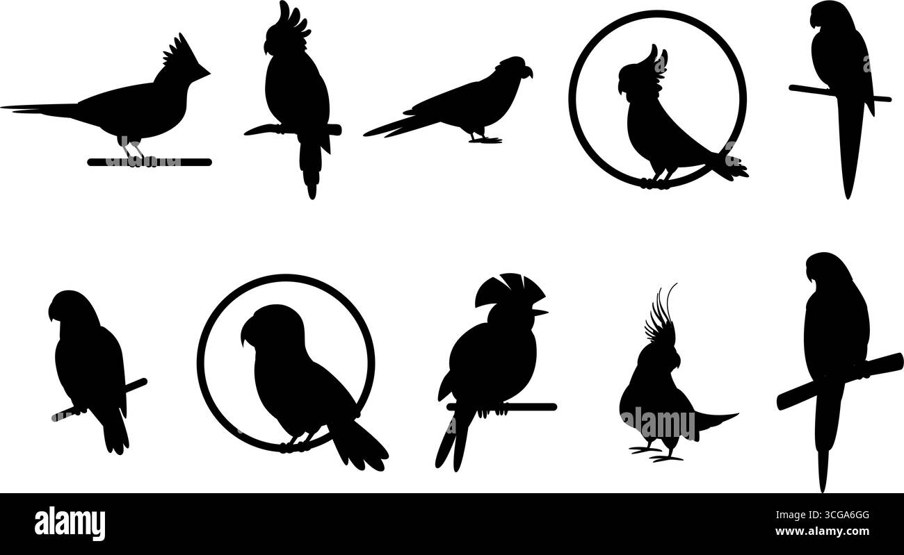 Parrot silhouettes. Isolated parrots on sticks and in ring, birds for ...
