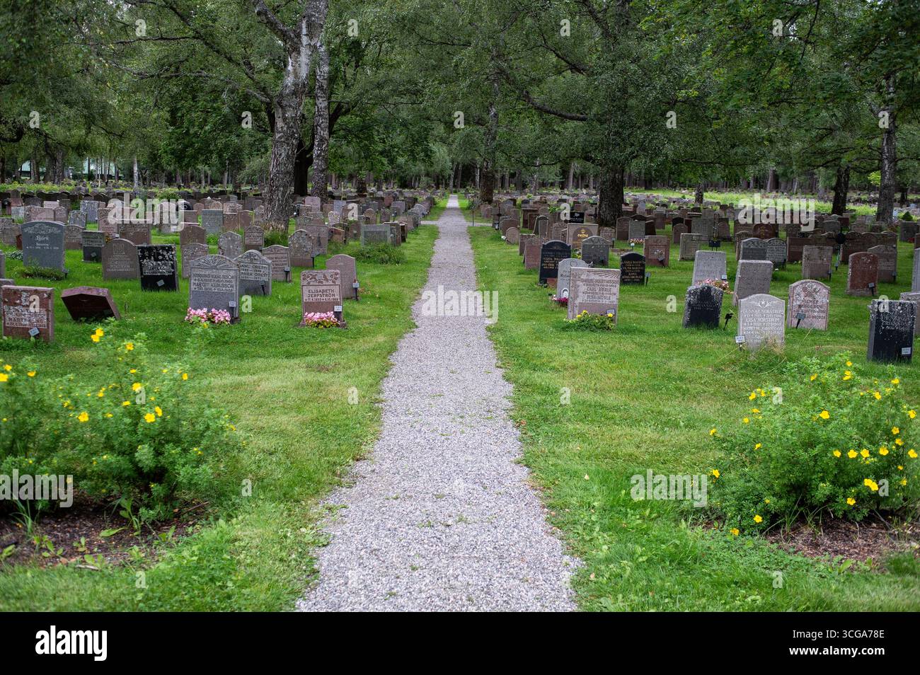 View of the Skogskyrkogarden Cemetery from 1915, declared a World ...