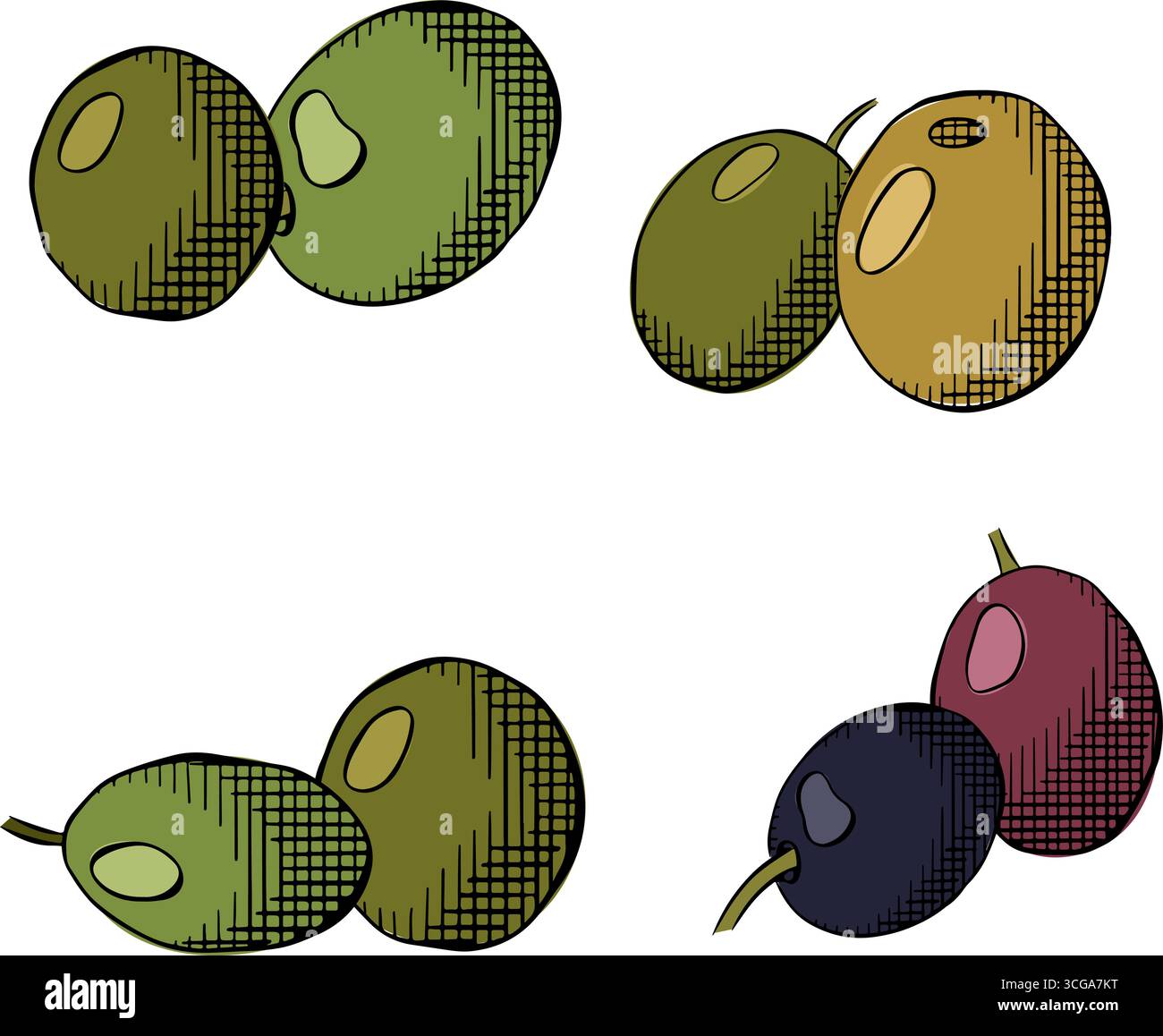 Olive shirt Stock Vector Images - Alamy