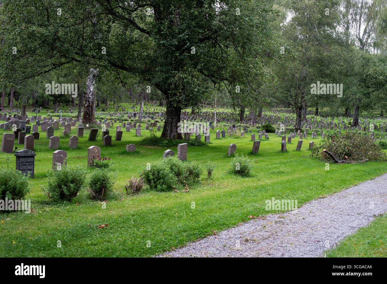 View of the Skogskyrkogarden Cemetery from 1915, declared a World ...