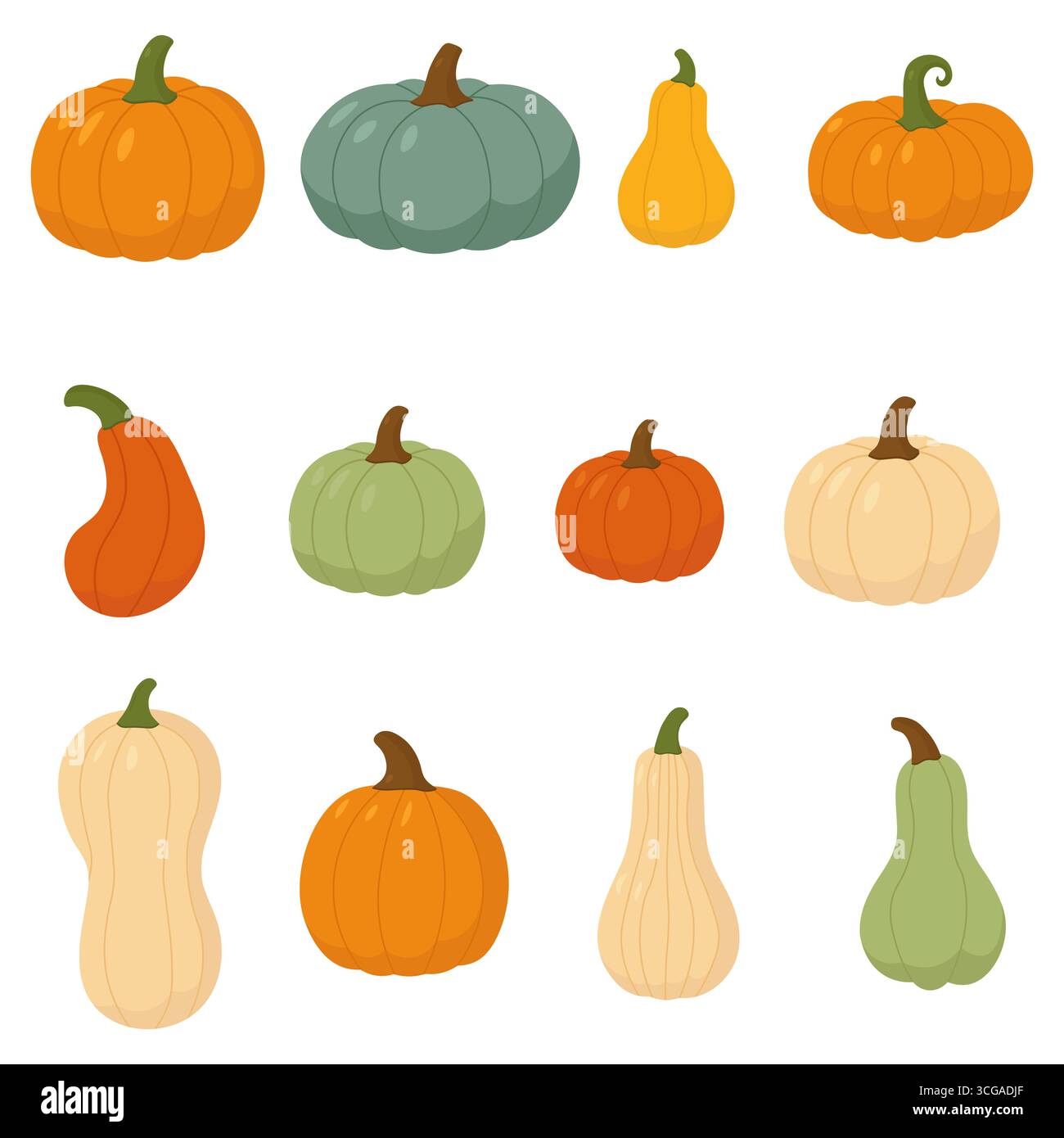 Squash types Stock Vector Images - Alamy