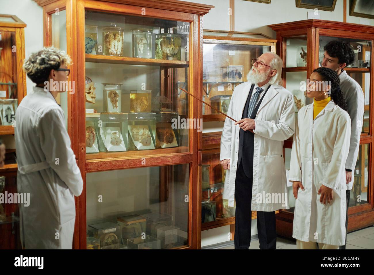 Diverse young adults museum hi-res stock photography and images - Alamy