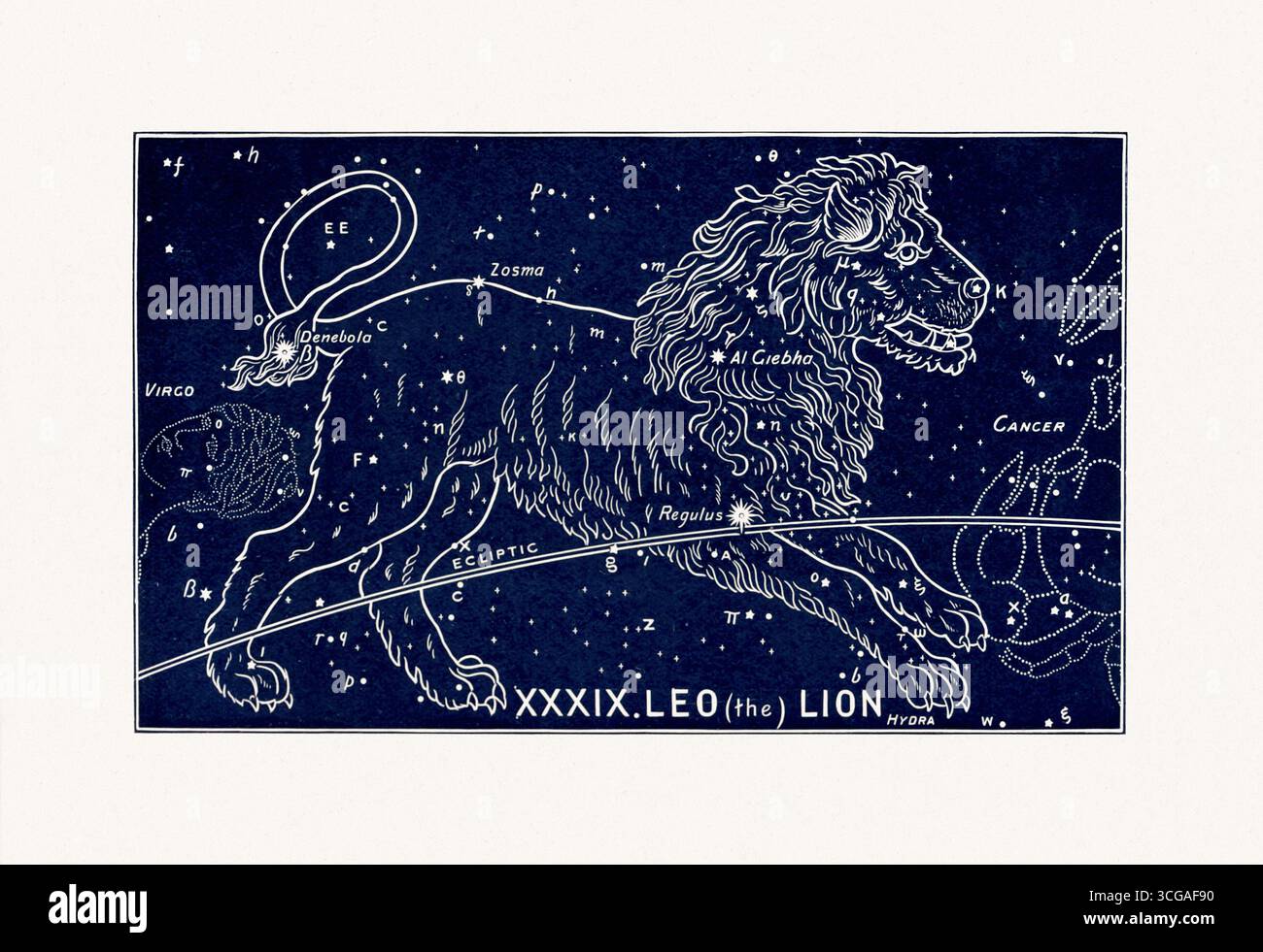 Antique constellation map of Leo, celestial star chart illustration ...