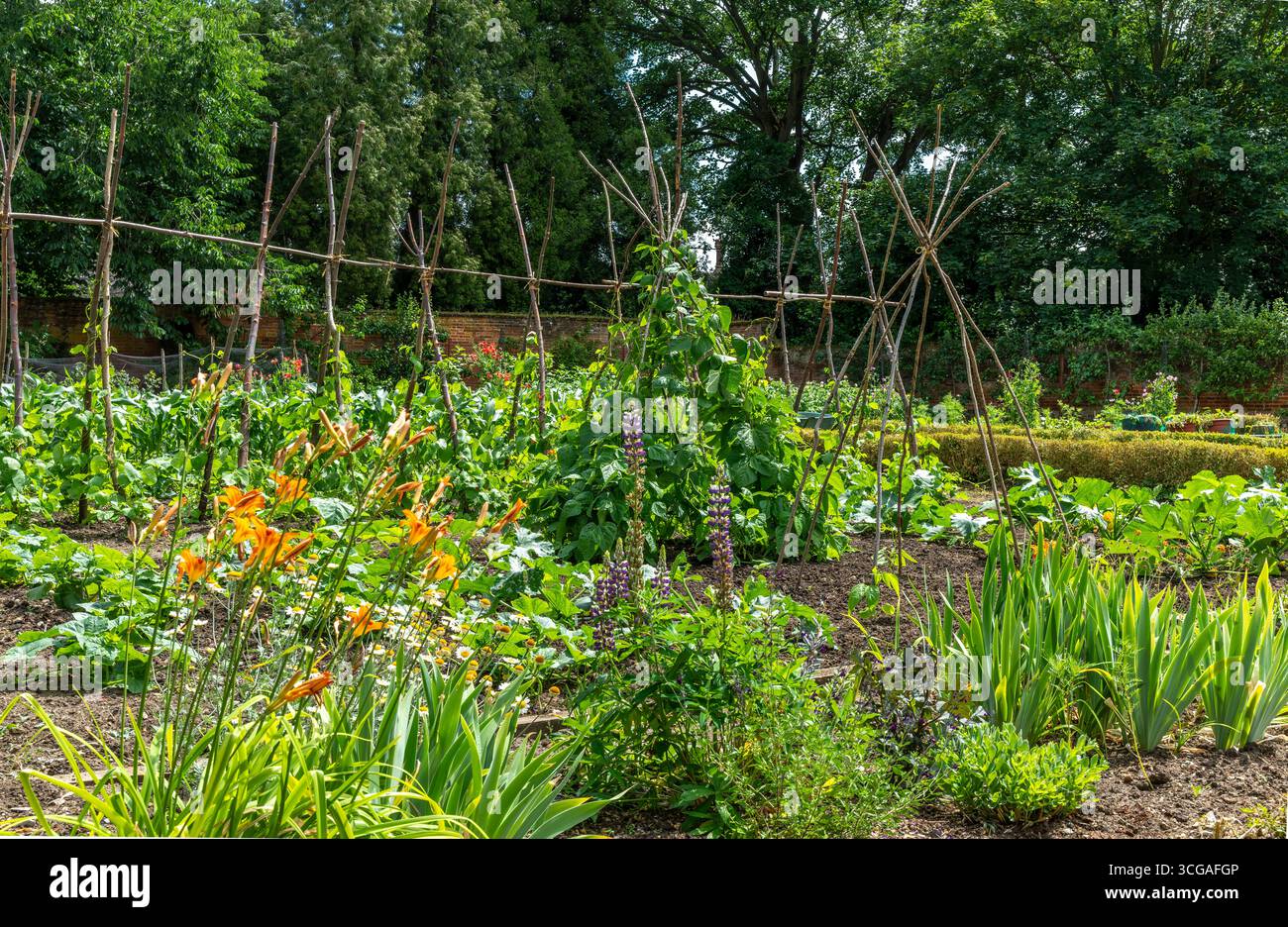The walled vegetable garden at The Food Museum in Stowmarket. Used for ...