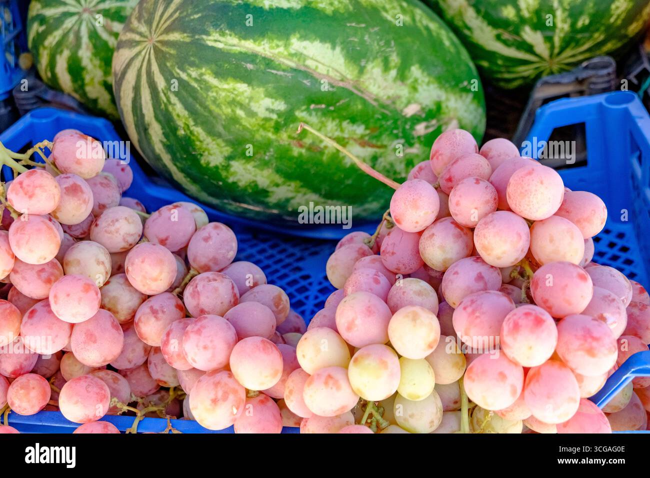 Big pile grapes food display hi-res stock photography and images - Alamy