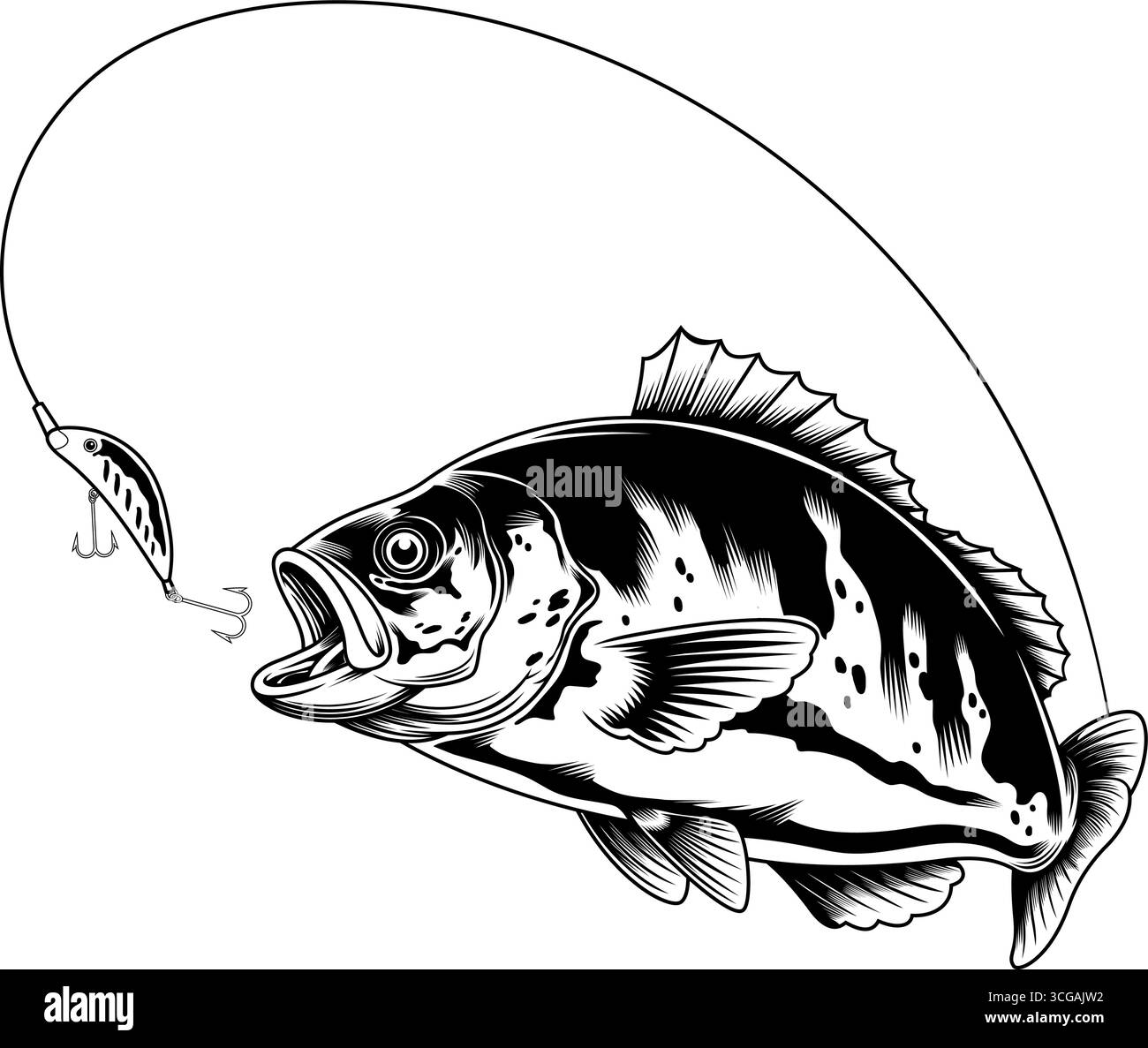 Outlined Bream Fish Catching The Fishing Lure Graphic Design. Vector ...