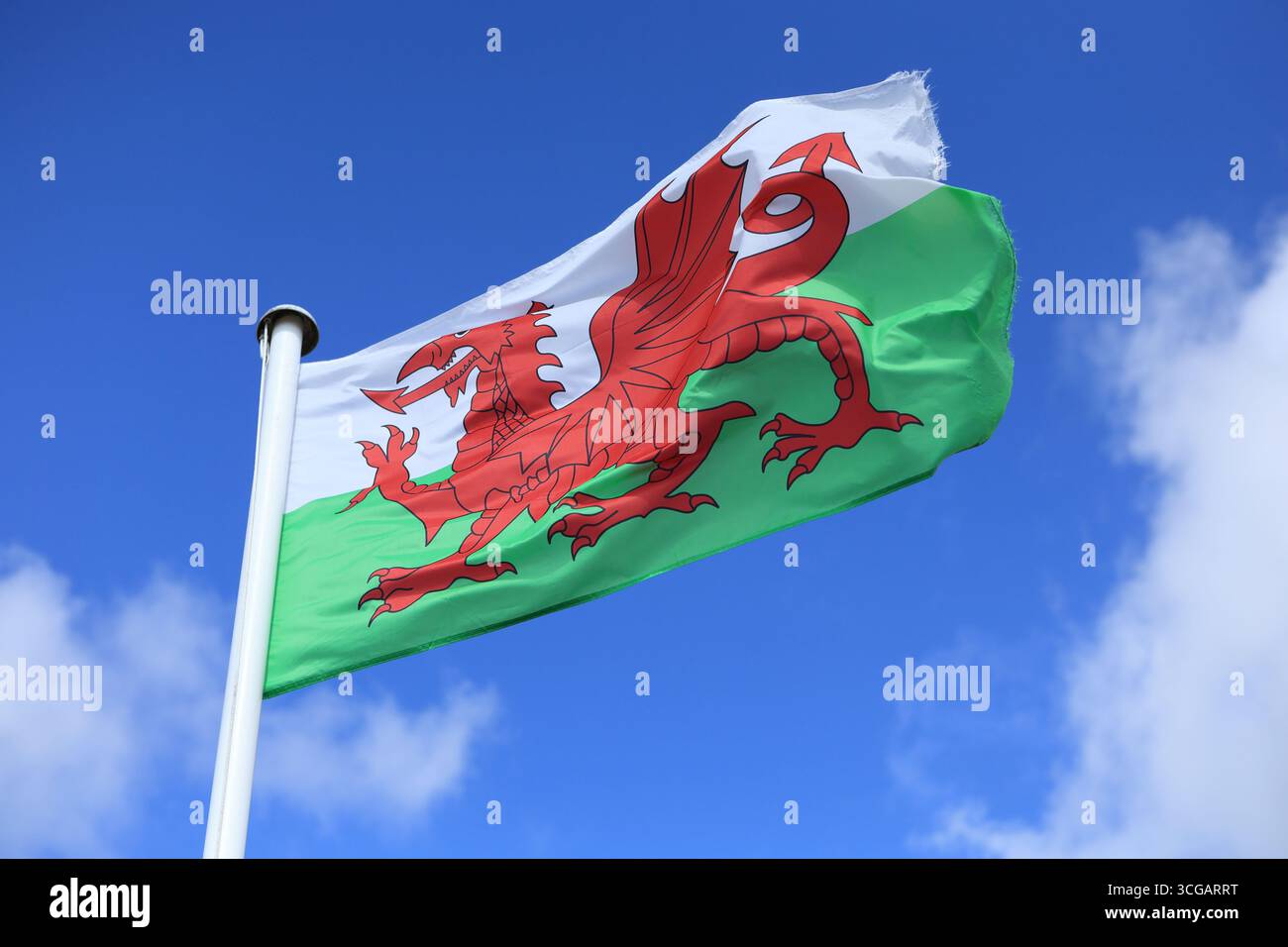 Welsh flag national flag of Wales Welsh dragon Stock Photo - Alamy