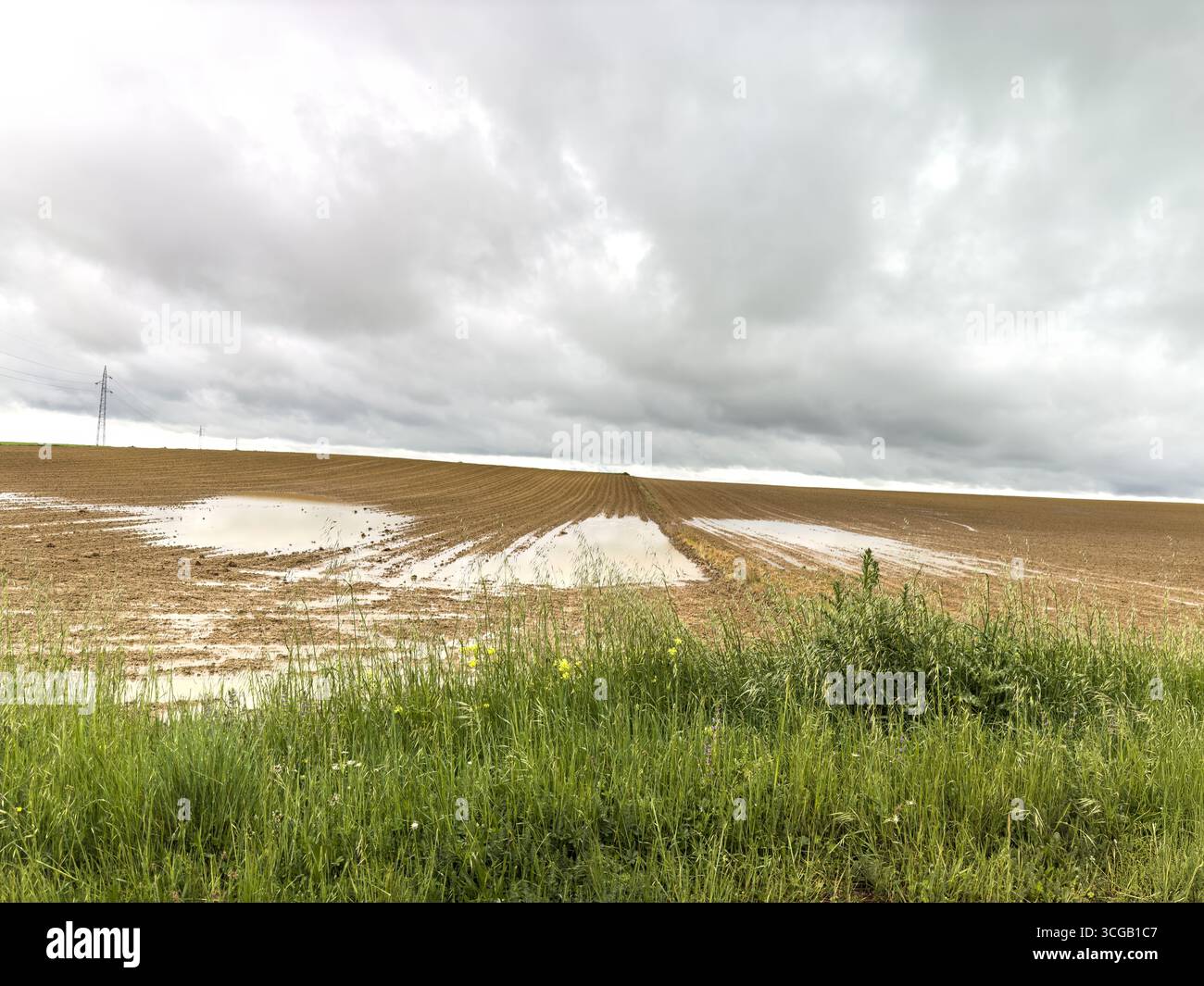 Wet plowed field with large puddles and dramatic cloudy sky in rural ...