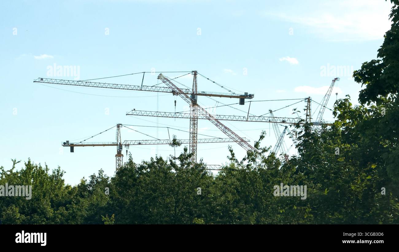 Several tower cranes operate above dense green foliage under a bright ...