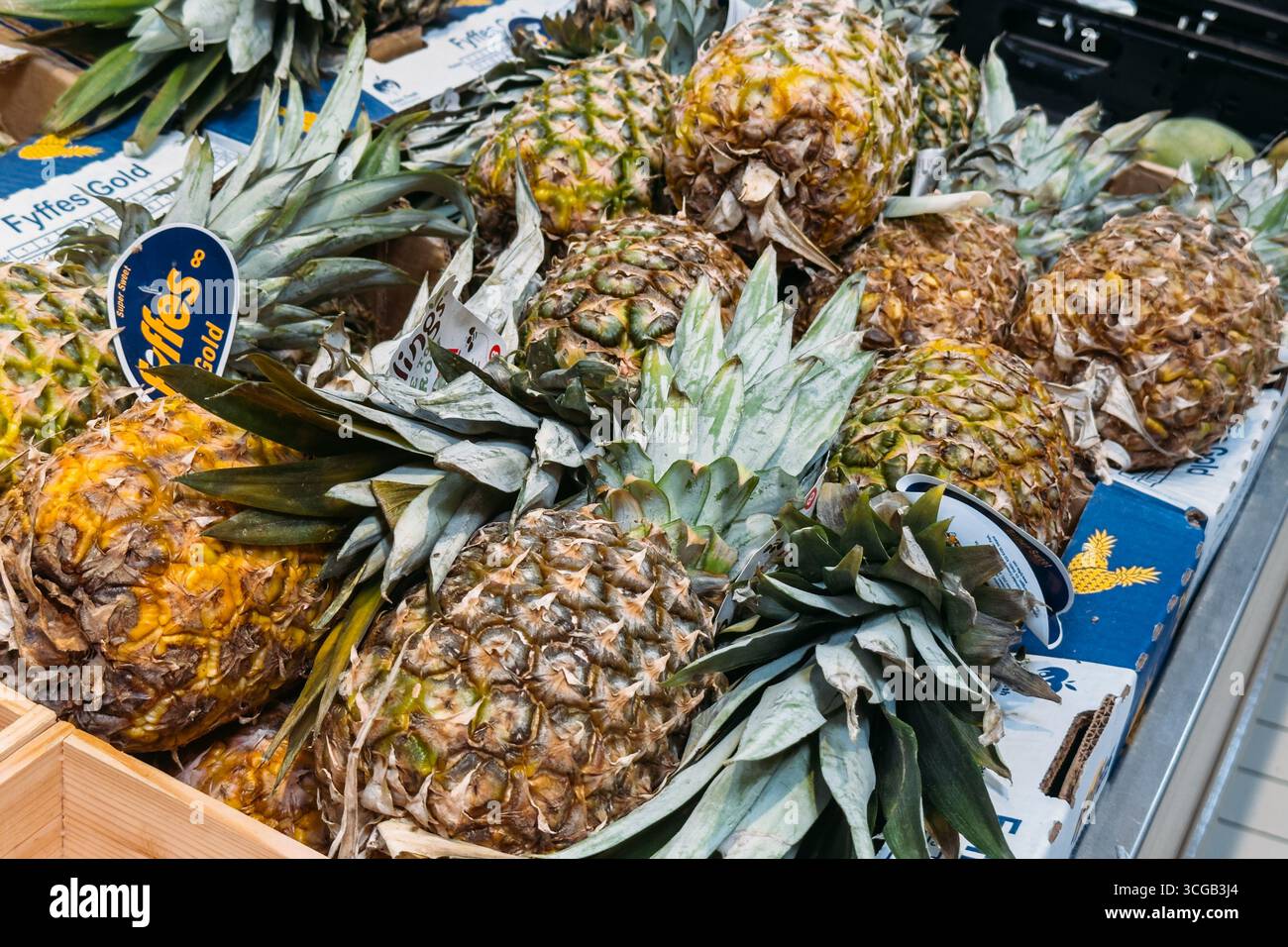 Pineapple supply chain hi-res stock photography and images - Alamy