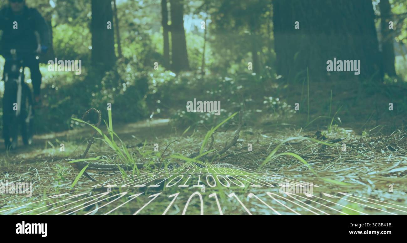 Riding cyclist wearing helmet, sunglasses, pedaling bike on pine trail ...