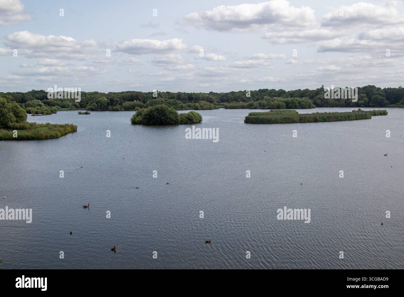 A view of the lake at Fleet Pond Local Nature Reserve and A Site of ...