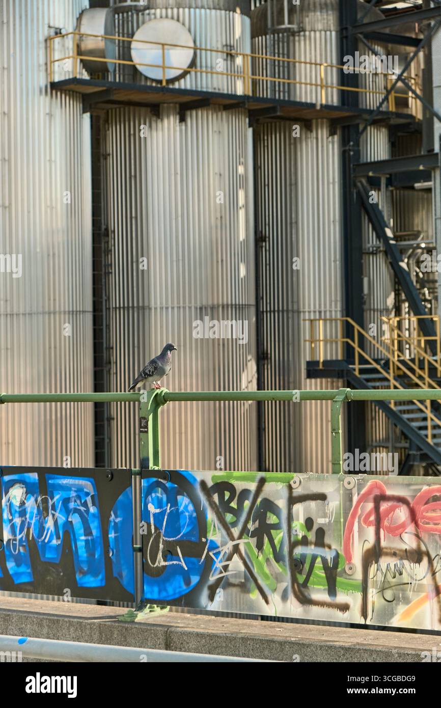 Urban scene at Vienna’s Spittelau plant. Graffiti-covered fence with ...