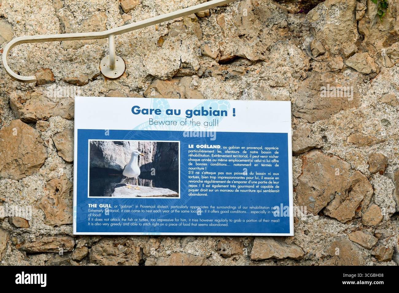 A warning sign to beware of the gulls on a stone wall outside the ...