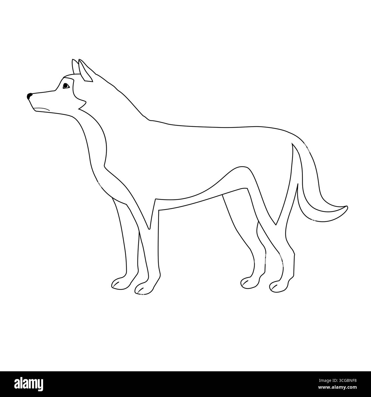 Vector flat hand drawn outline husky dog Stock Vector Image & Art - Alamy