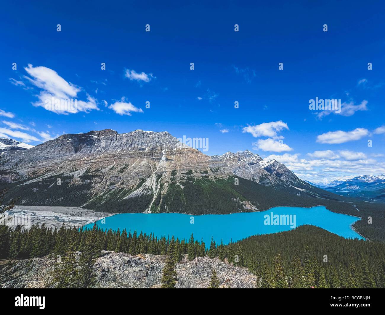 Stunning turquoise Peyto Lake in Banff National Park, shaped like a ...