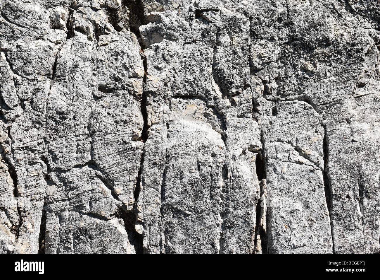 Limestone rock face, light color, sedimentary rock. In the mountains of ...
