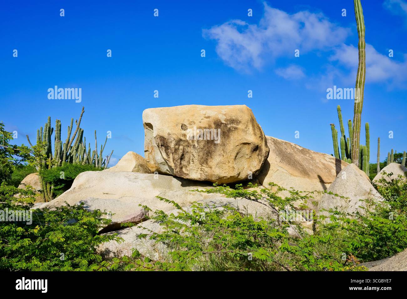 Rocks and cactus trees in Casibari rock formations Aruba Stock Photo ...