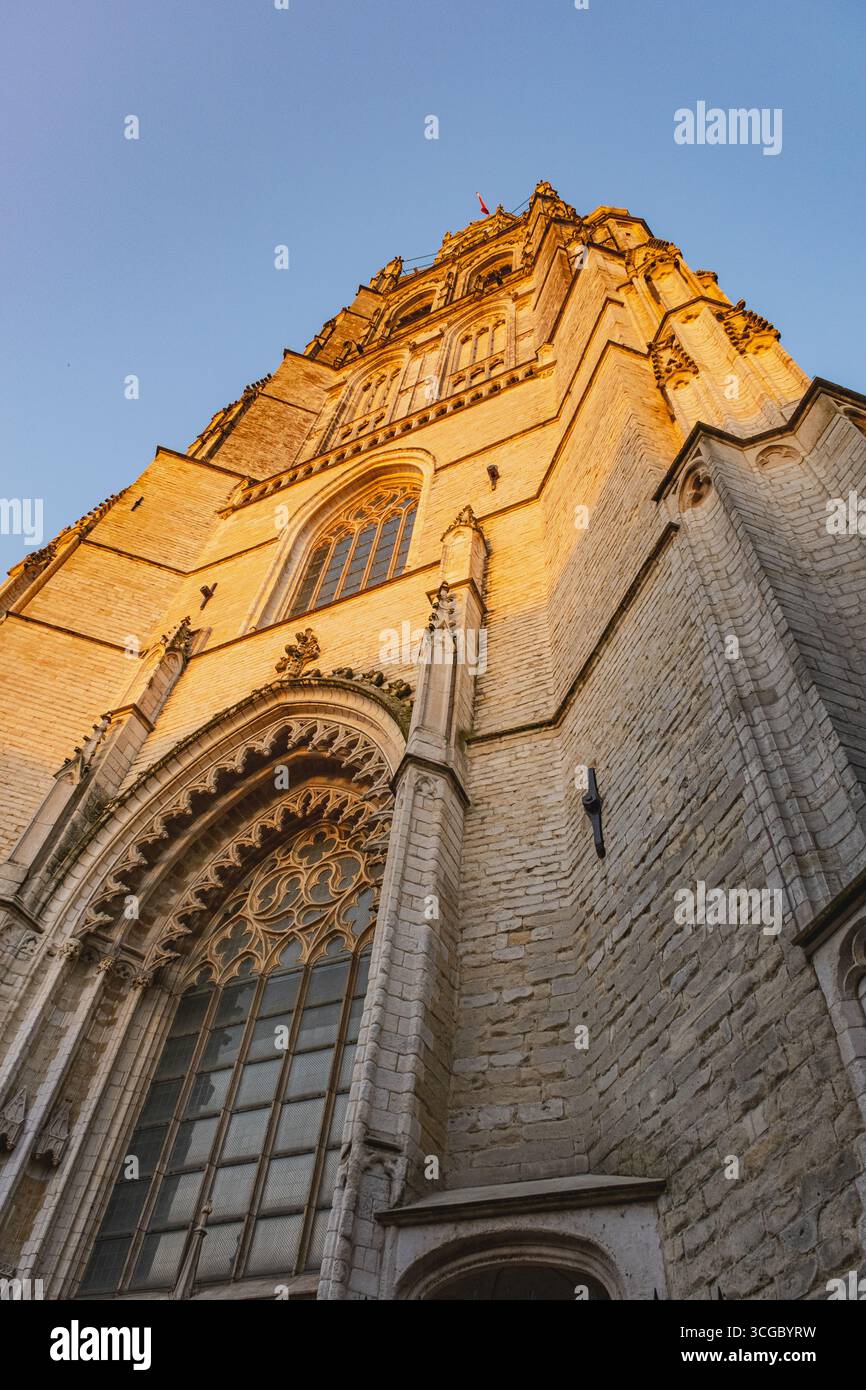 Gothic church tower of Breda lit by golden sunset light Stock Photo - Alamy