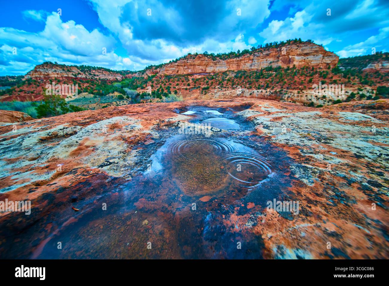 Rainwater Pools on Red Sandstone Kanab Utah Desert After Storm Stock ...