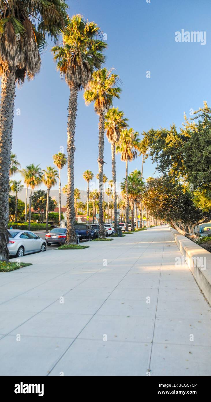 Palm-lined street in Santa Barbara, California, on a sunny afternoon ...