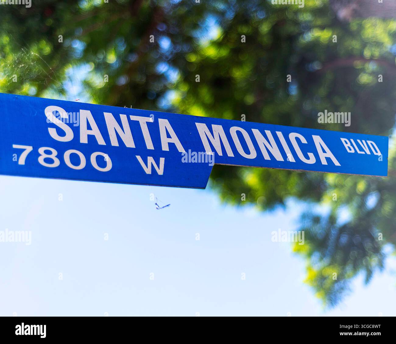 Close-up of a Santa Monica Blvd sign in Los Angeles, CA Stock Photo - Alamy