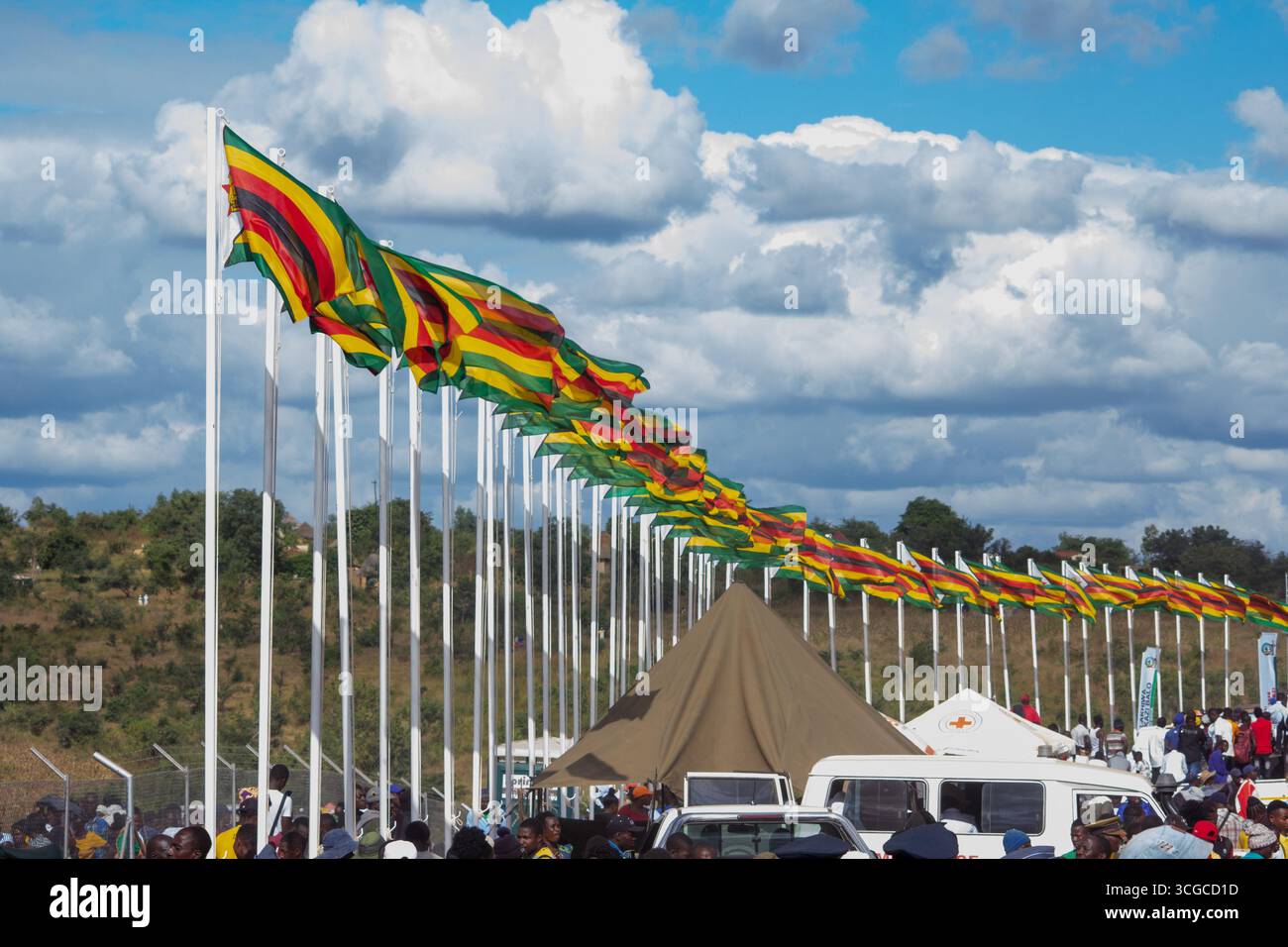 A striking row of Zimbabwean flags waves against a vibrant sky ...