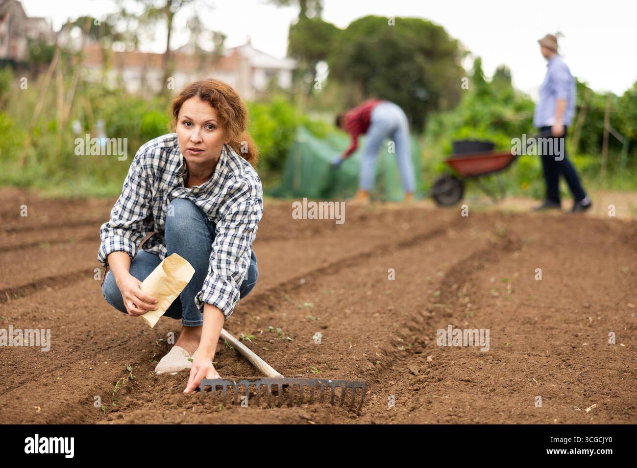 Woman plants berry vegetable hi-res stock photography and images - Alamy