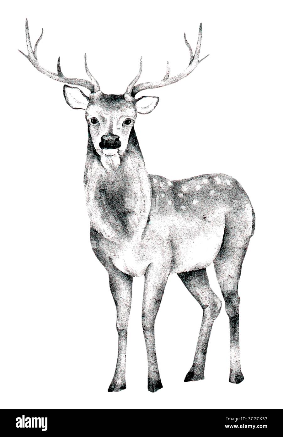 Majestic stag art Cut Out Stock Images & Pictures - Alamy