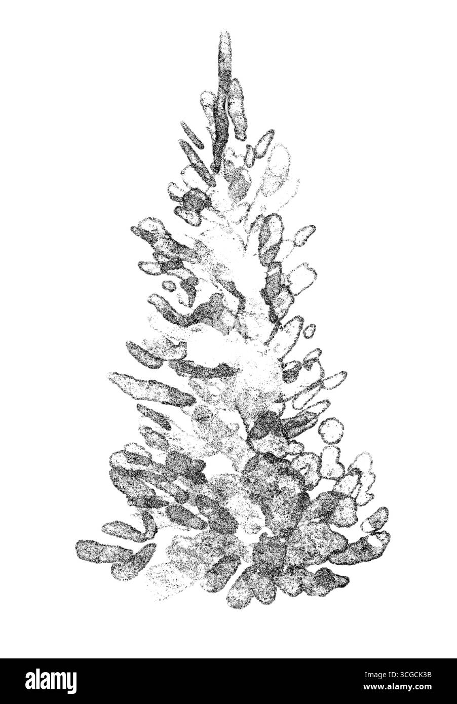 Illustration retro style detailed Black and White Stock Photos & Images ...