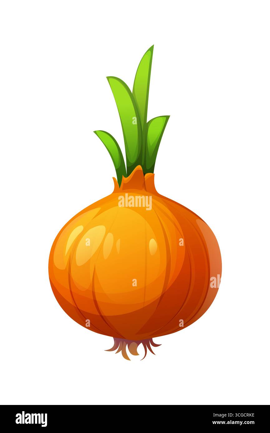 Cartoon raw ripe onion with green sprouting leaves. Isolated vector ...