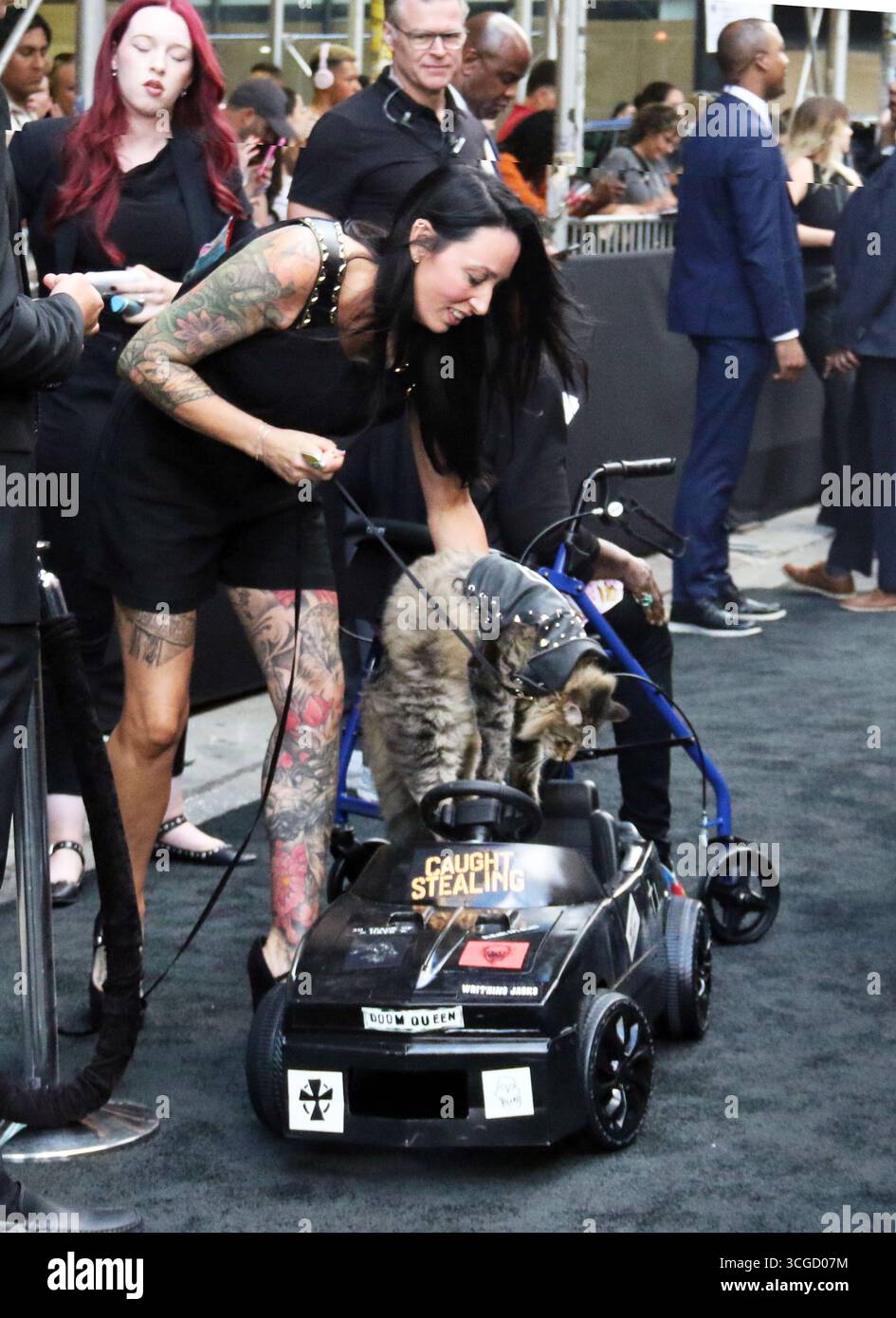 New York, NY August 26, 2025: Tonic the Cat Bud attends Sony Pictures ...