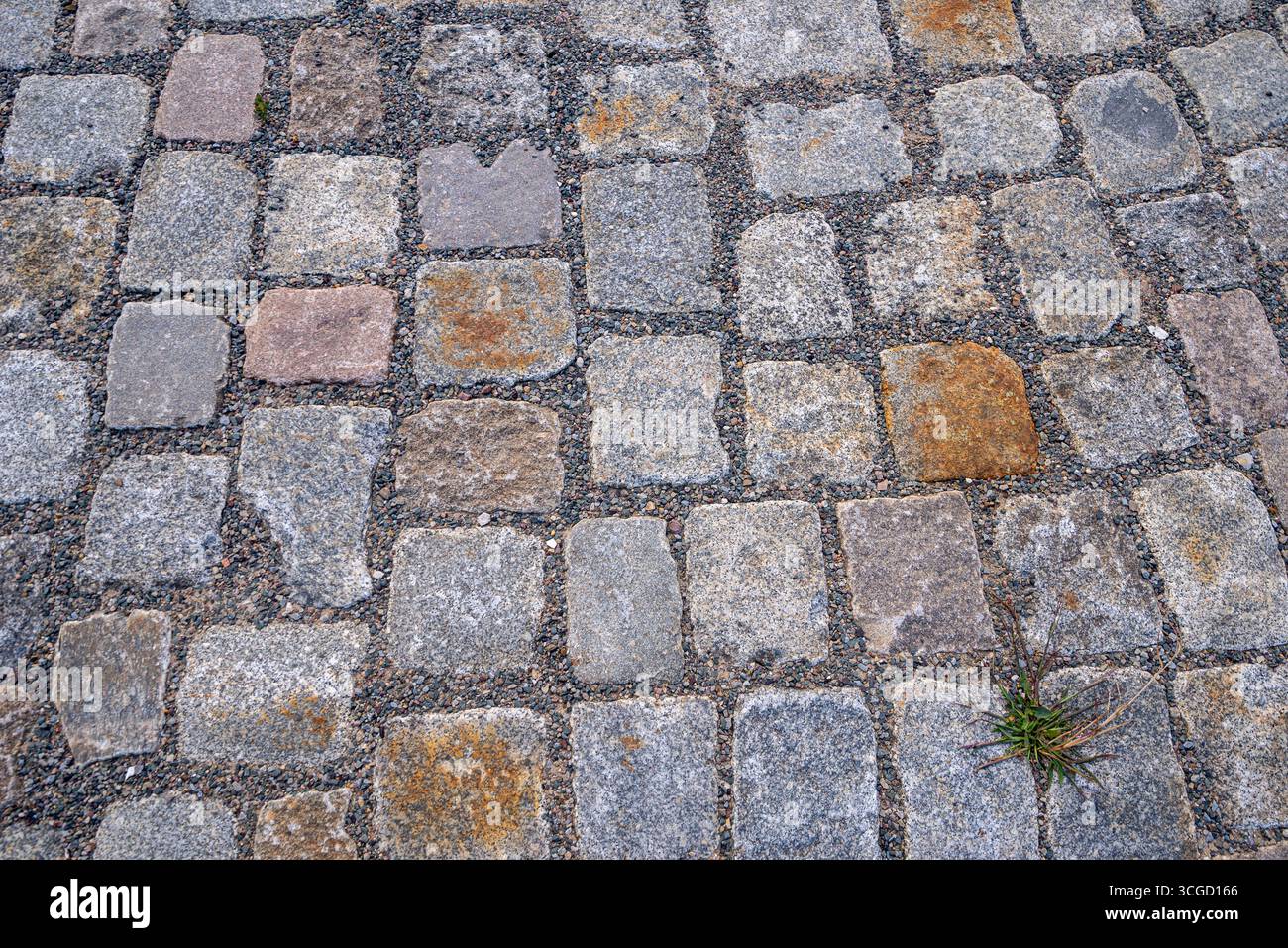 Cement stone path hi-res stock photography and images - Alamy