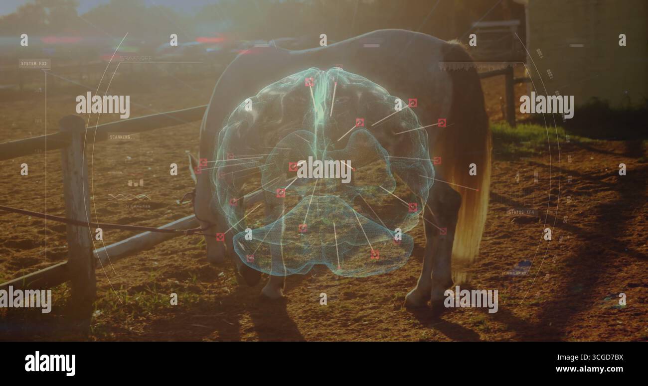 Standing horse showing AR scan with red nodes in sunlit paddock, with ...