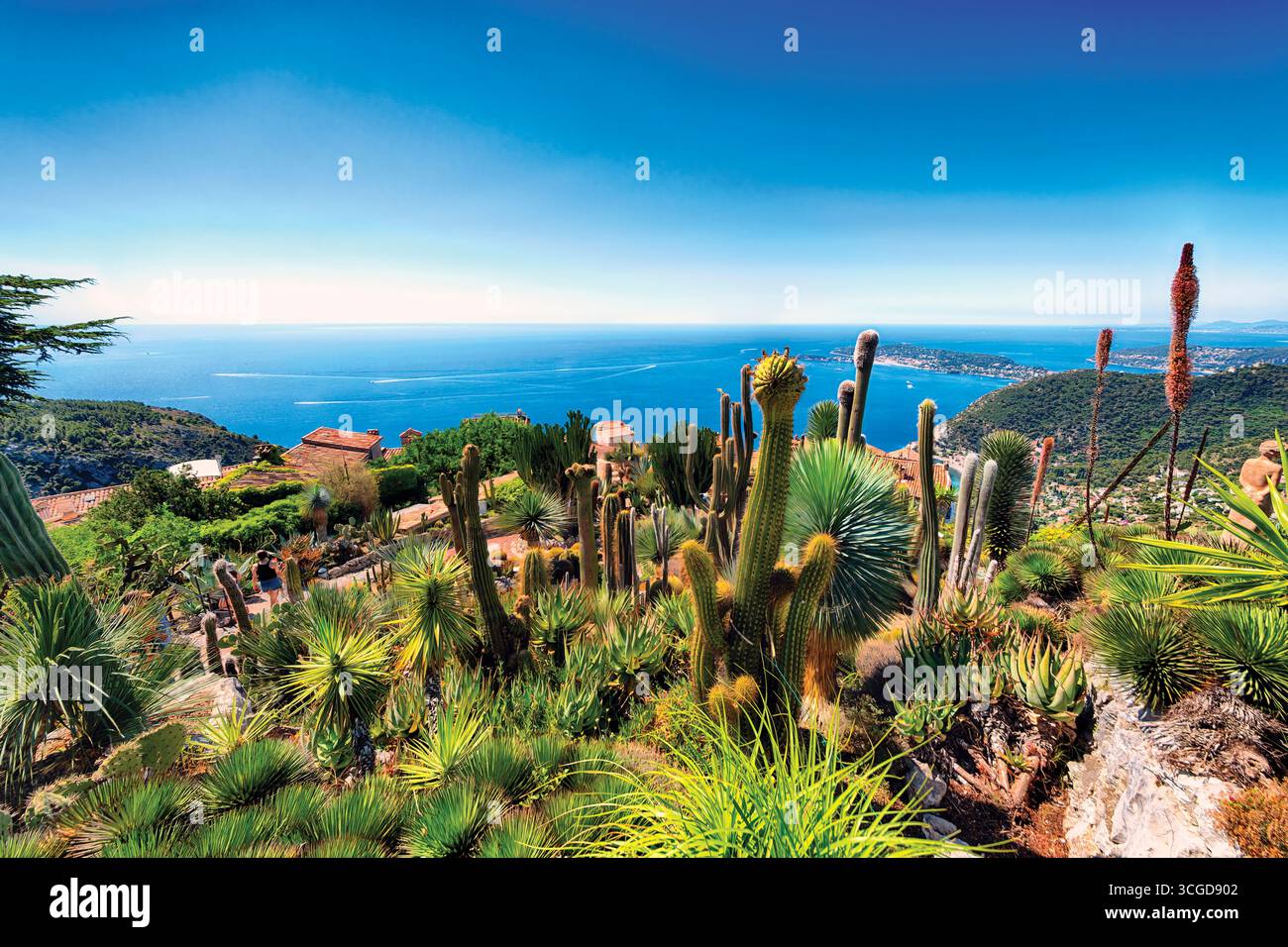 Cactus Plants on the Top of a Medieval Fort Overlooking The ...