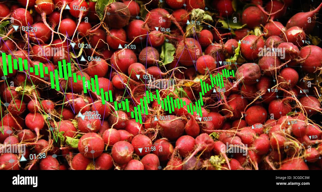Showing radishes with root fibers in closeup with green bar charts and ...