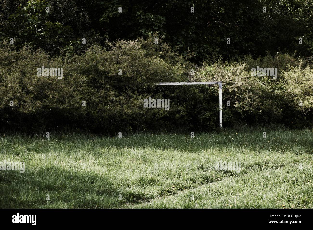Old forgotten soccer goal post hidden behind bushes in a park ...