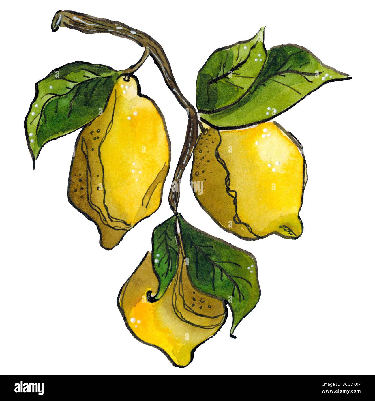 Hand drawn watercolor illustration with graphic elements. Composition ...