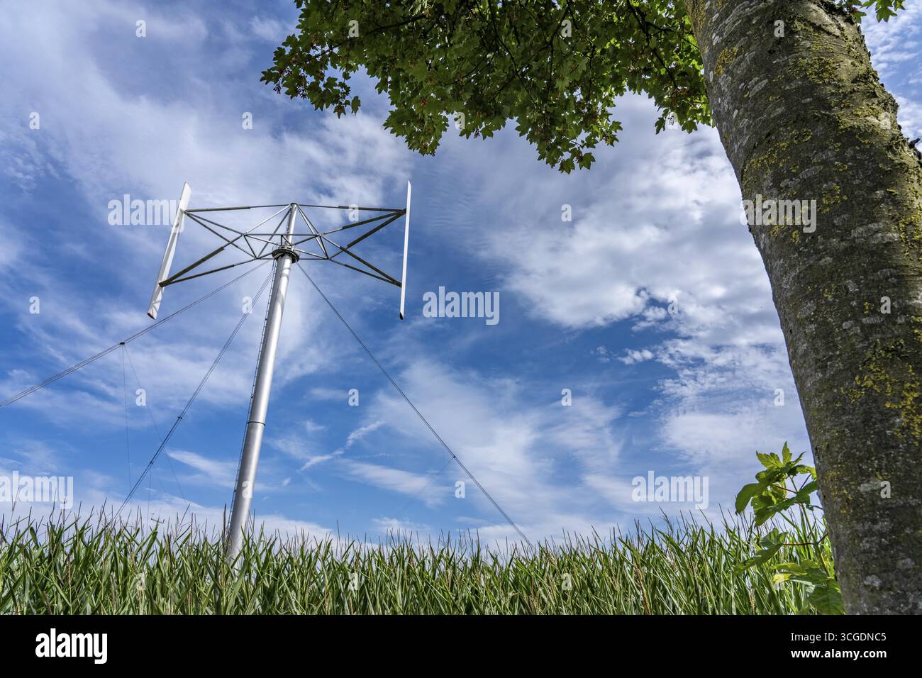 Vertical axis wind turbine, Darrieu wind turbine, 2 vertically mounted ...