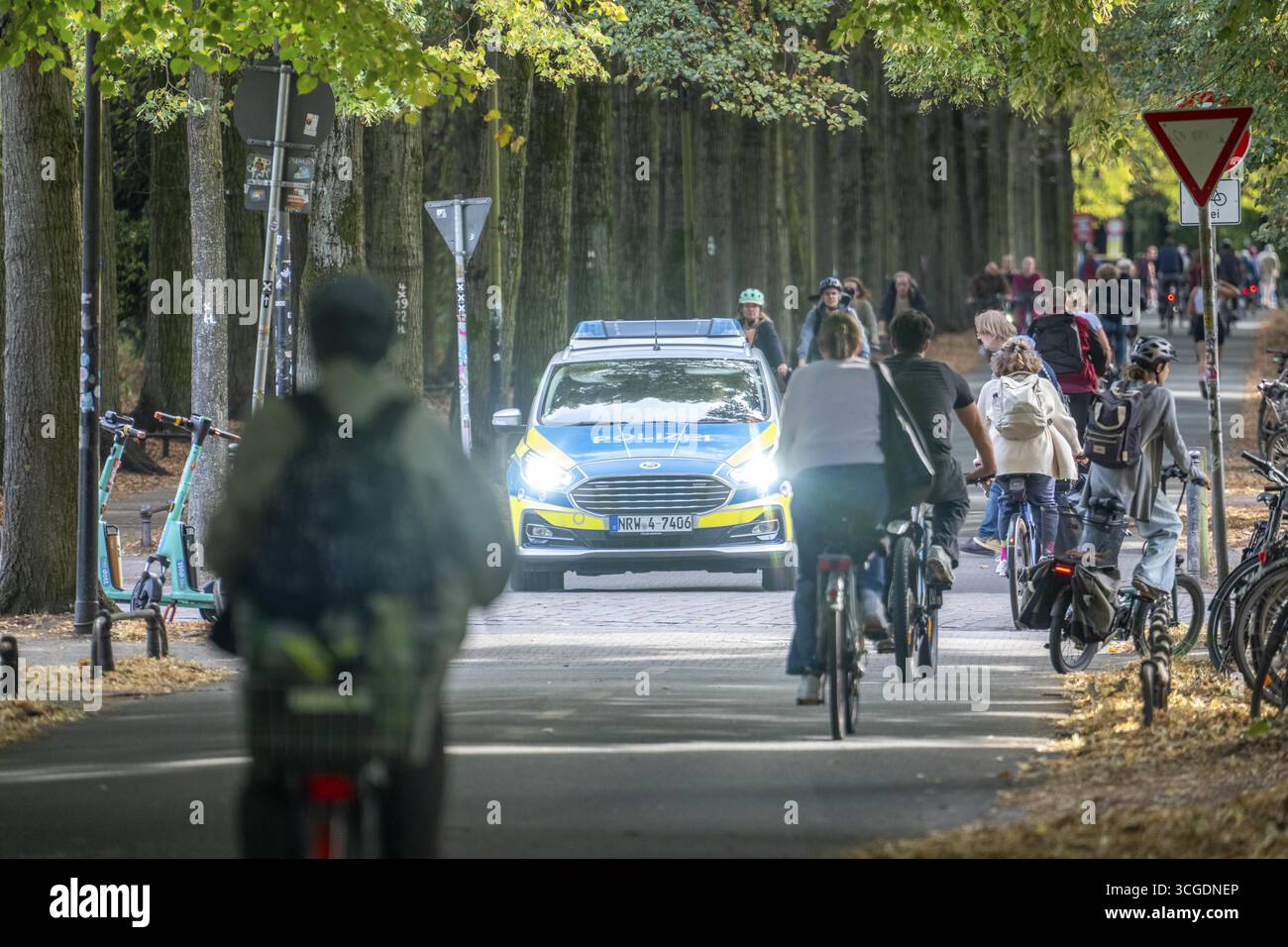 Cycle traffic in Muenster, Promenade cycle path, tree-lined, car-free ...