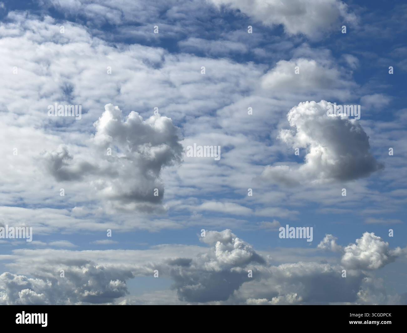 Several types of cumulus white clouds, cumulus clouds at the bottom ...