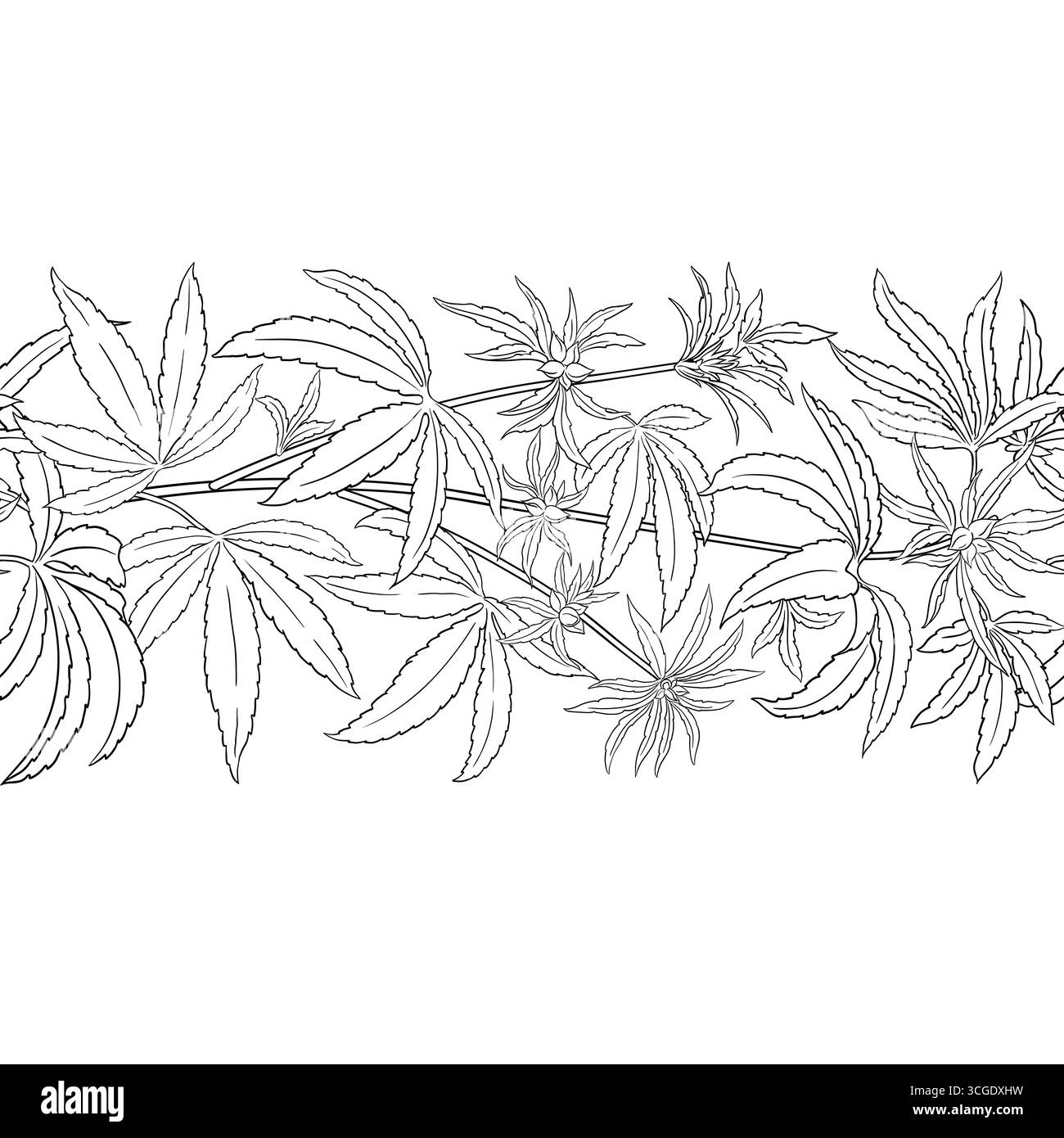 Hemp plant leaves outline Stock Vector Images - Alamy