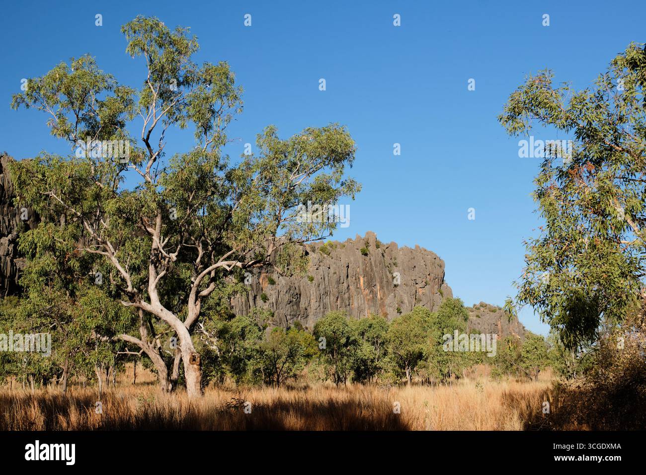 Towering ancient limestone walls - Windjana Gorge National Park, WA ...