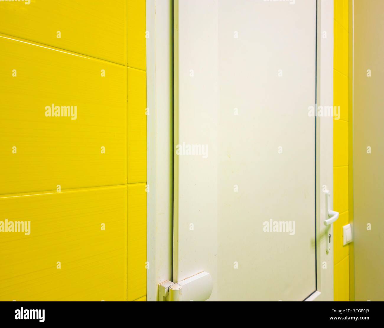 White door featuring a sleek metal handle, complemented by a vibrant ...