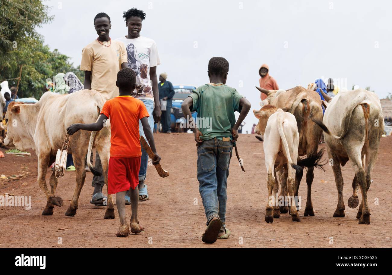 Assosa, Ethiopia. 22nd Aug, 2025. Illustration picture taken during a ...