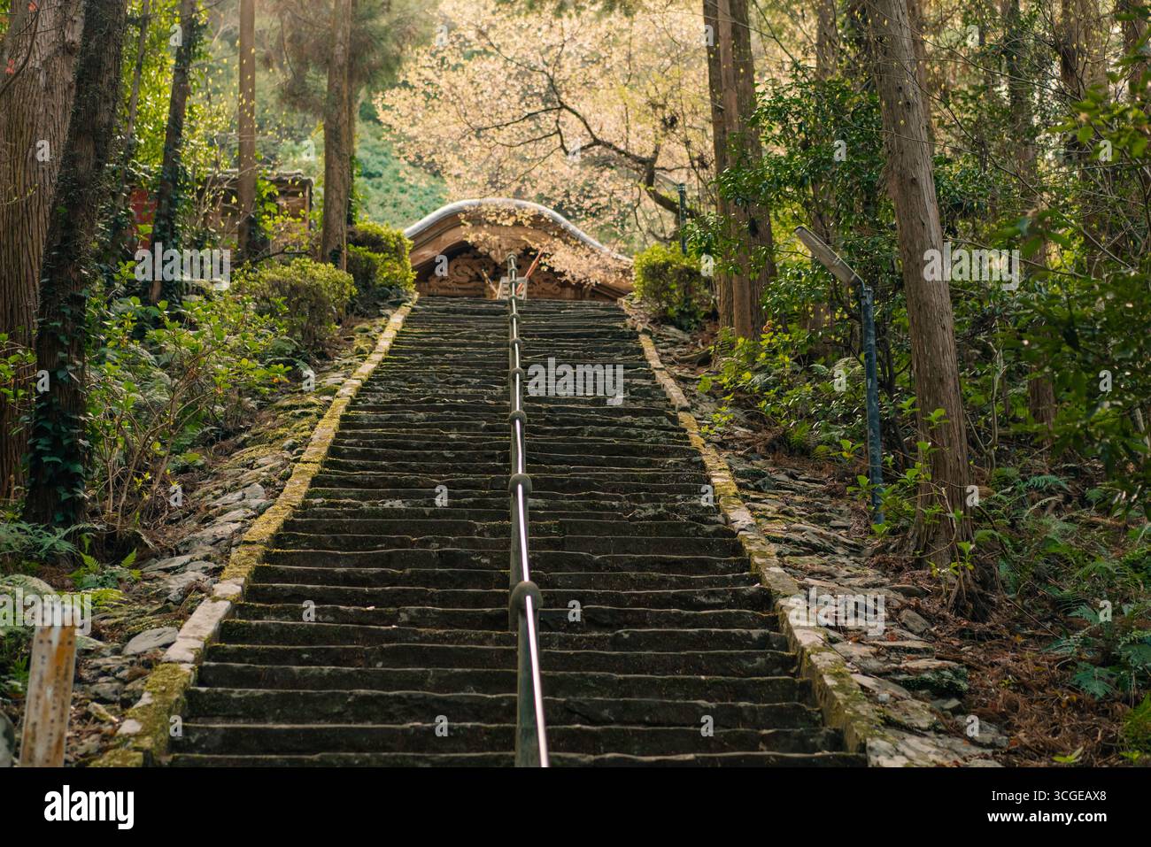 No 36 shoryu temple hi-res stock photography and images - Alamy