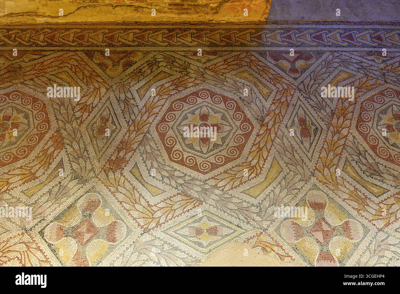 Detailed Roman mosaic with floral and geometric patterns in an ...