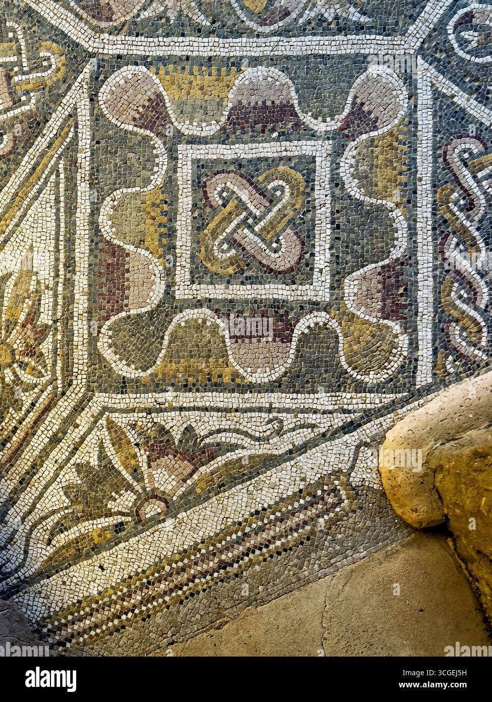 Detailed Roman mosaic with floral and geometric patterns in an ...