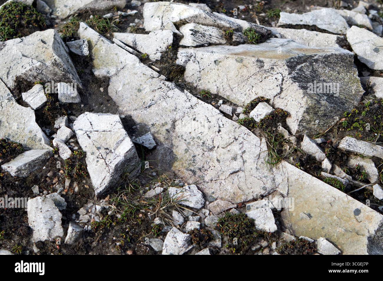 quartzite rock protruding from soil at the eastern end of tory island ...